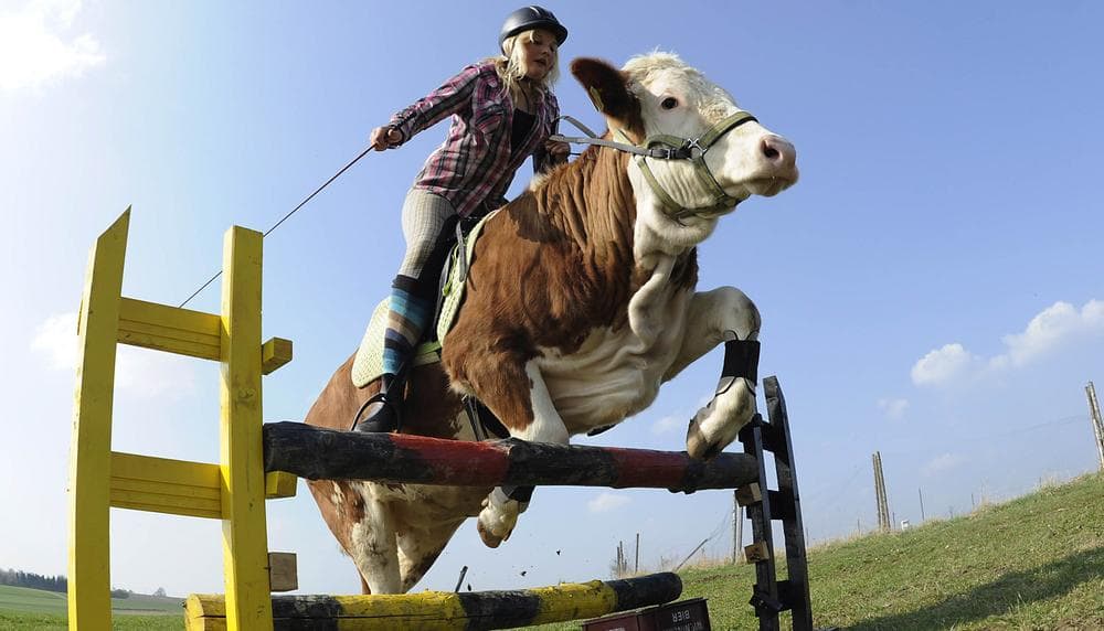 Cow Jumping and More with Charlie Pierce | Only A Game