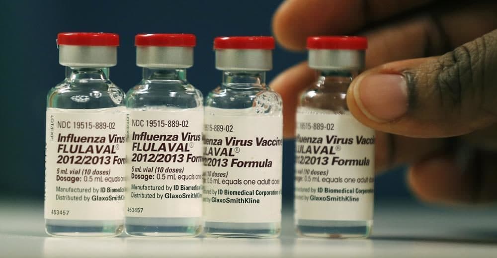 Expert: Flu Vaccine Developers Must Start From Scratch | Here & Now