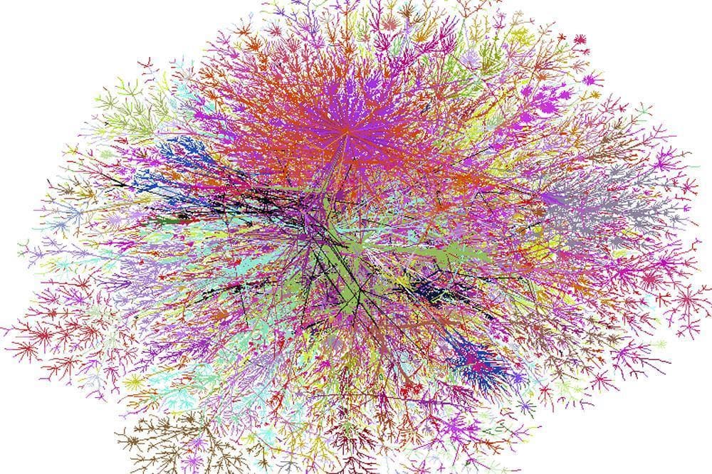 The Programmable World | On Point