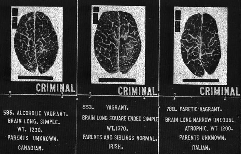 Is There A Criminal Brain? And Can It Be Modified? | Here & Now