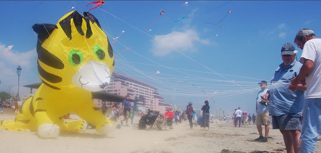 Photos: At Revere Beach Kite Festival, Tiger, Mermaid, Iron Man Take To ...