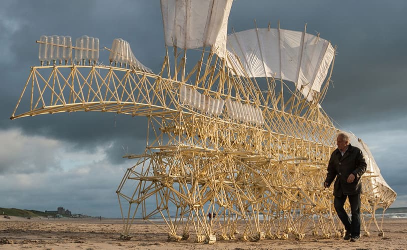 Wind-Powered 'Strandbeests' Wend Their Way To Massachusetts | Here & Now