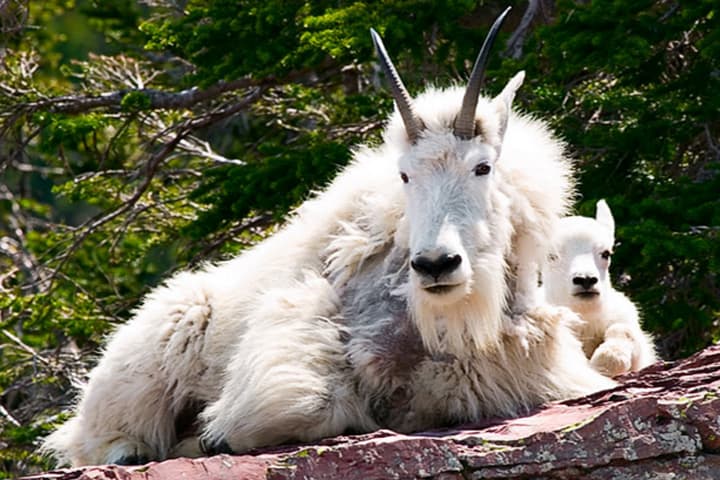 Our Week In The Web: November 20, 2015 | On Point