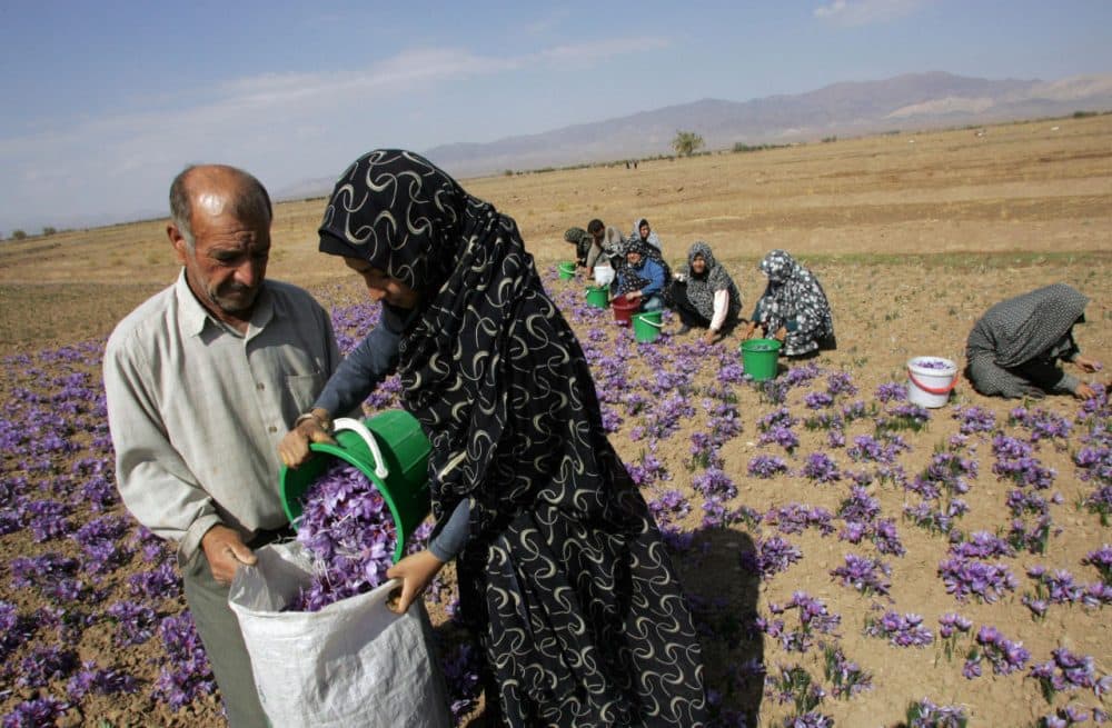 Saffron – Why Iran's 'Red Gold' Is So Prized | Here & Now