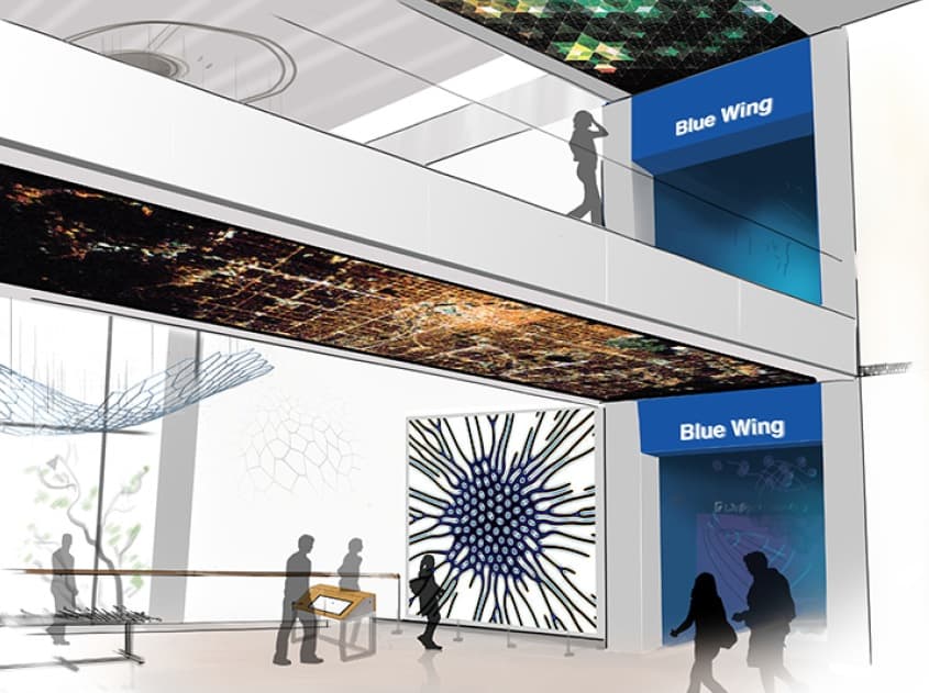 Museum Of Science Transforms Lobby: Down With Granite, Up With ...