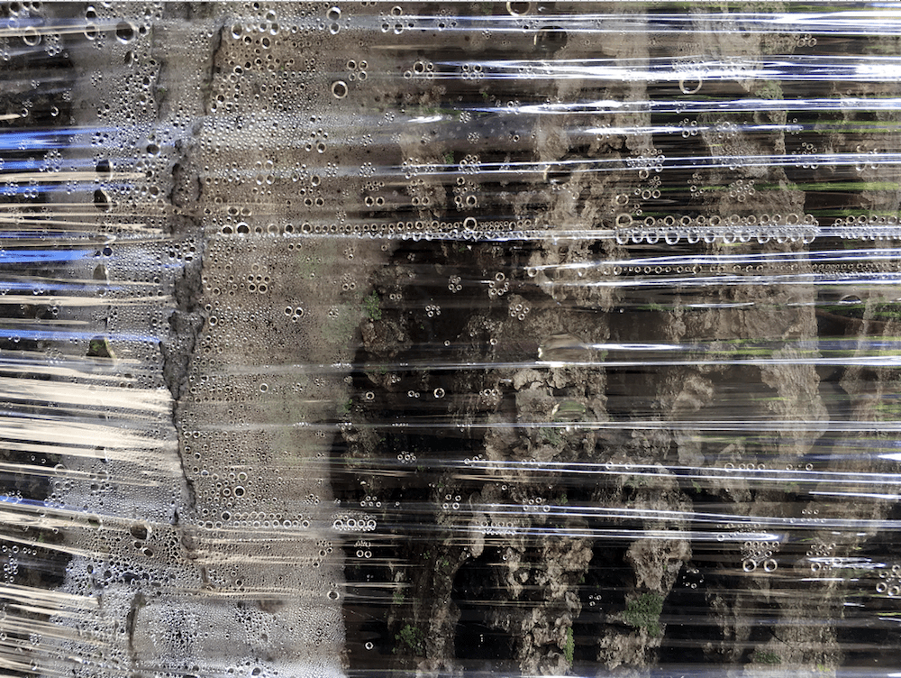 MIT Museum Celebrates Photography As A Tool For Communicating Science ...