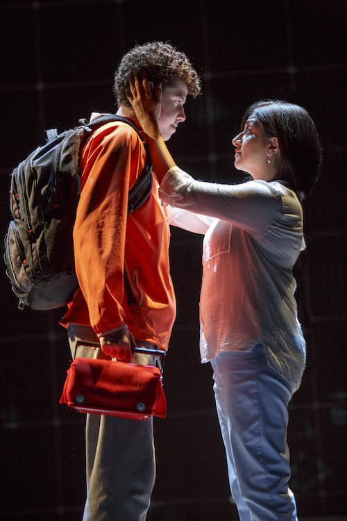 'Curious Incident' Settles For Theatricalizing Rather Than Dramatizing ...