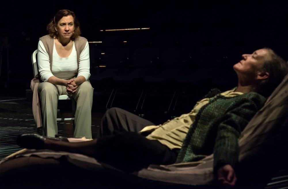 Central Square Theater’s ‘Precious Little’ Is An Exploration Of ...