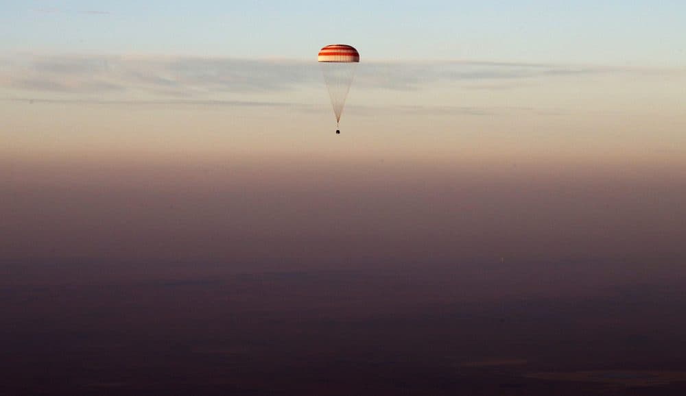 I'm Fed Up With Humanity. It's Time For An Alien Intervention | Cognoscenti