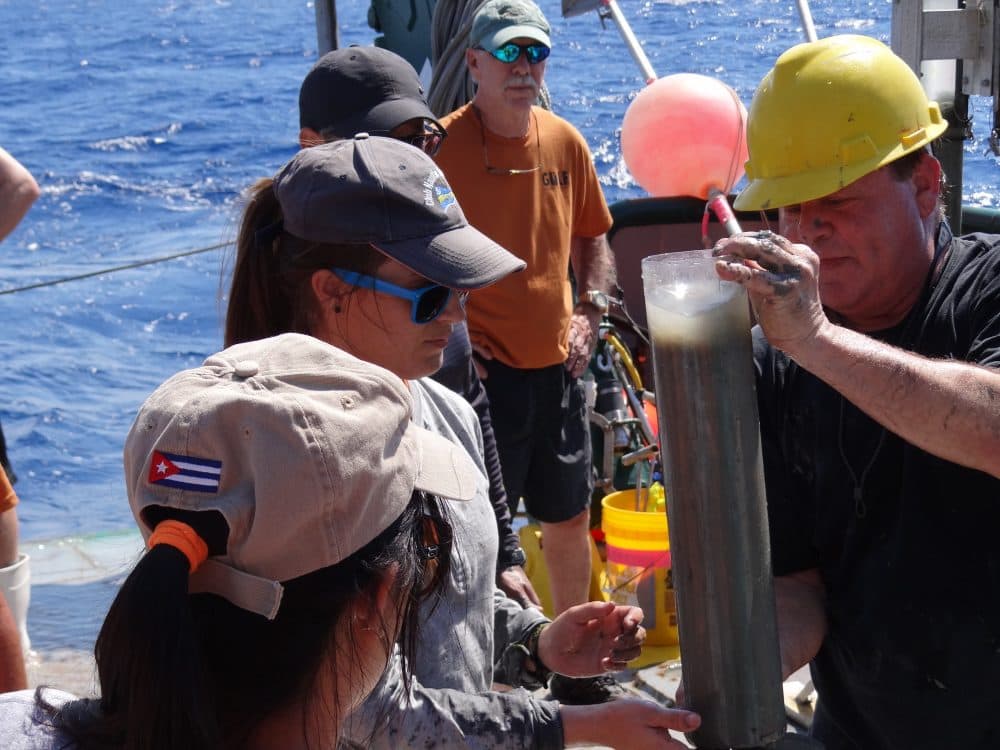 U.S. And Cuban Scientists Join Forces To Protect Shared Marine ...