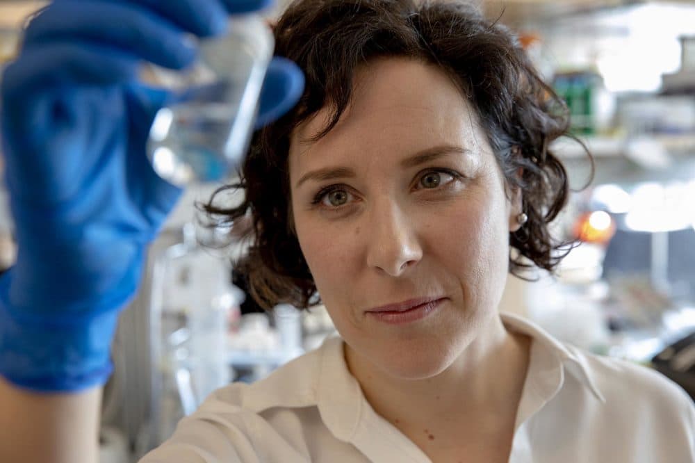 How Struggling Through Calculus Taught This UMass Professor To Push Her ...