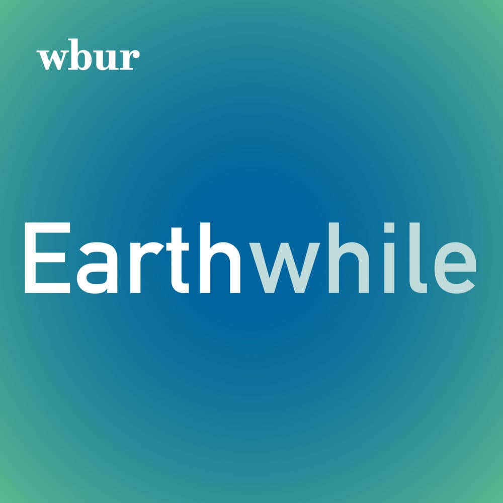 WBUR Launches New Environmental Vertical, Earthwhile | Inside WBUR