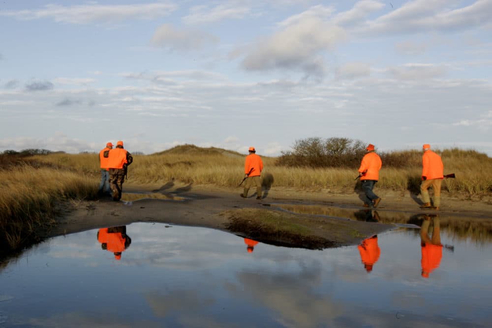 Cooler Weather Signals Return Of Fall Hunting Season In Mass. | WBUR News