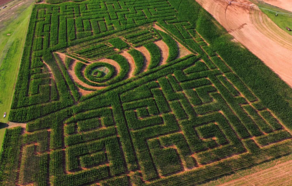 Pumpkins, apples and corn mazes: Agritourism is big business for ...