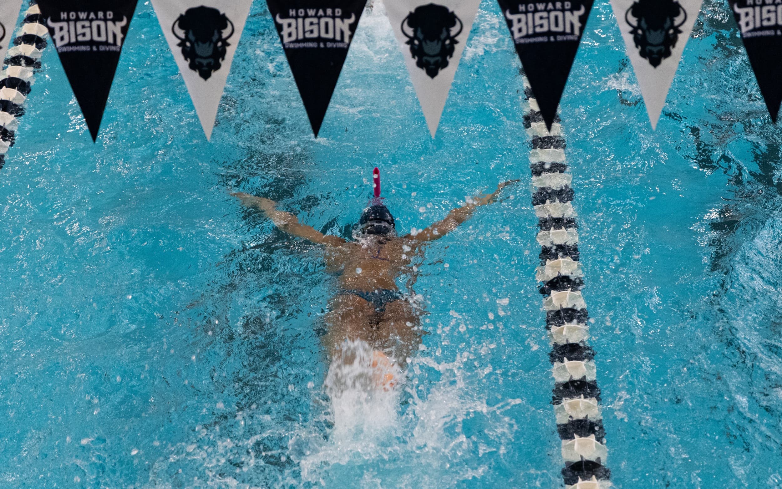 The last all-Black college swim team is on the verge of victory | NCPR News
