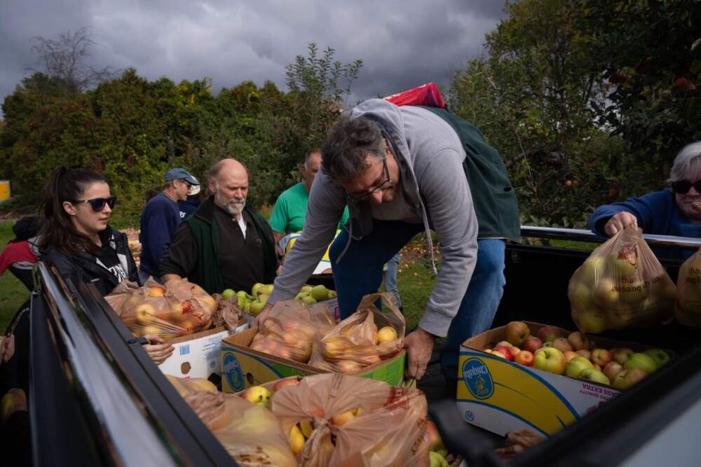 A New England farm struggled with crops this season, but it's donating ...