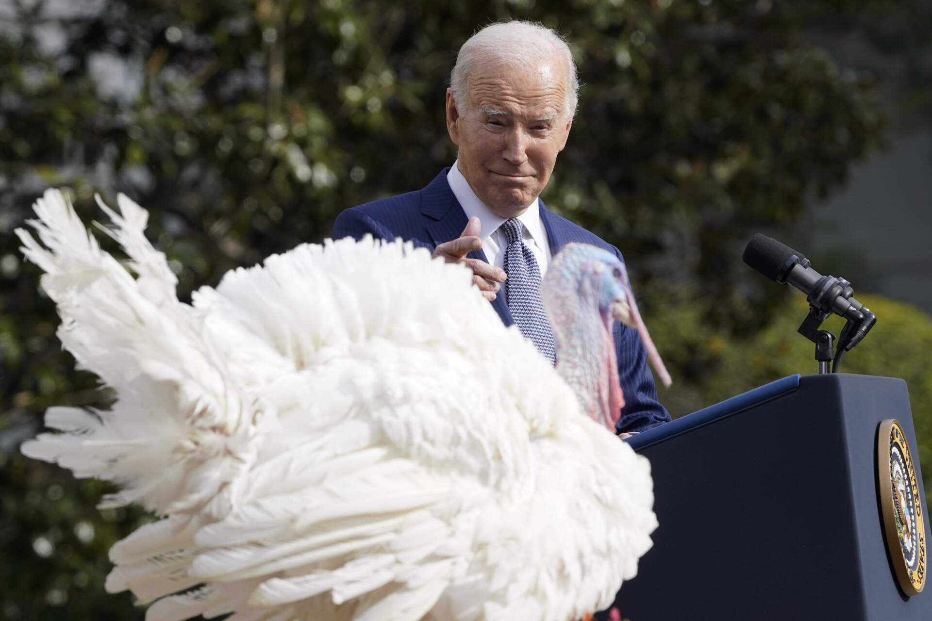 Biden pardons 2 turkeys in DC before heading to Nantucket for ...
