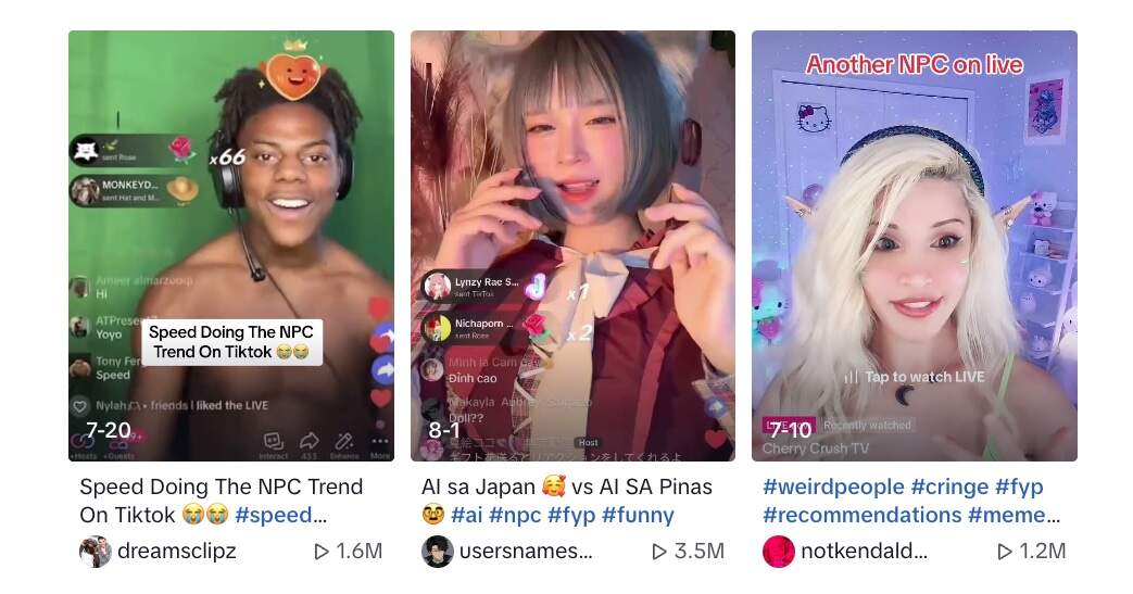 Streamers are role-playing as NPCs | NCPR News