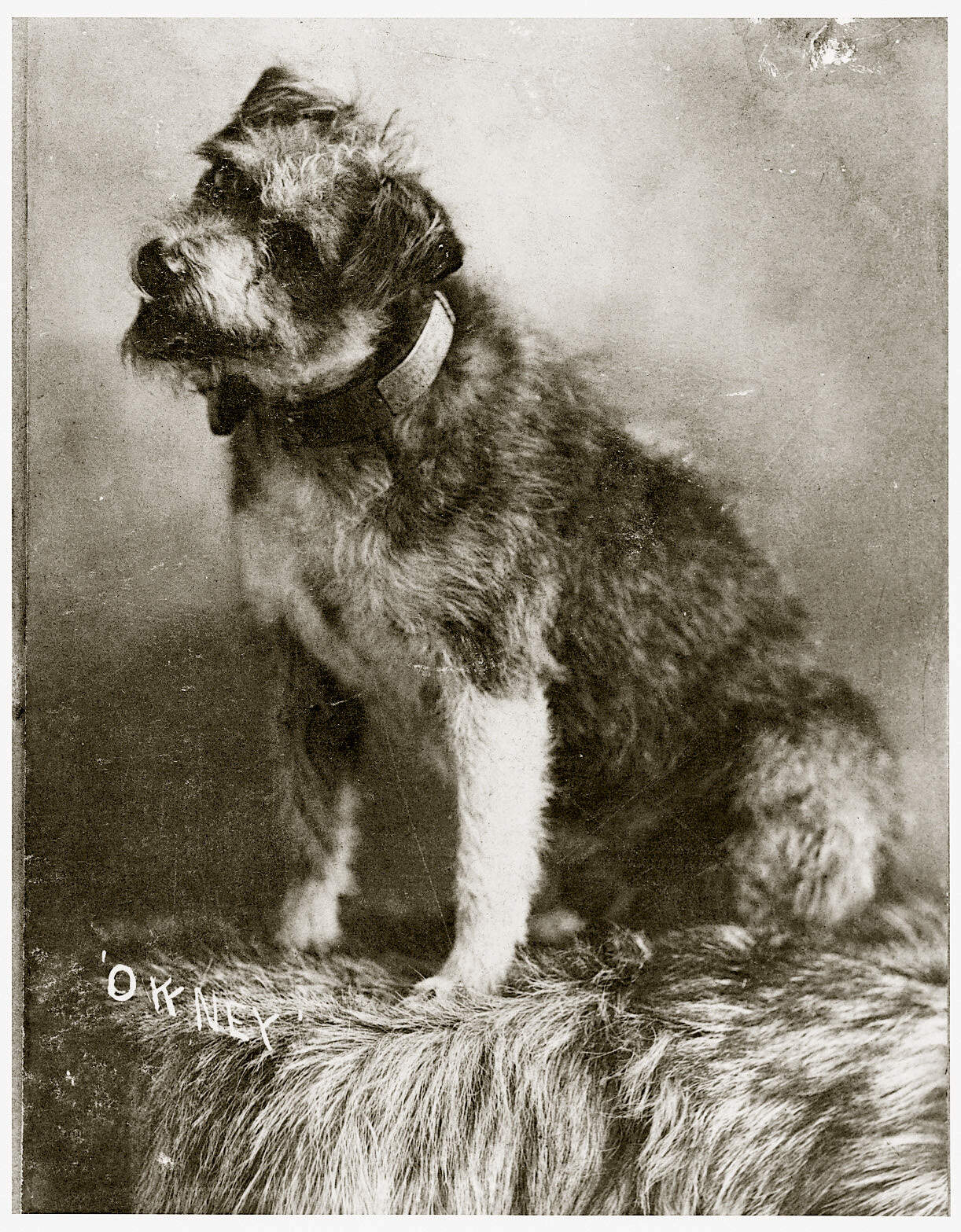 The U.S. Postal Service's busiest season prompts us to revisit its ...