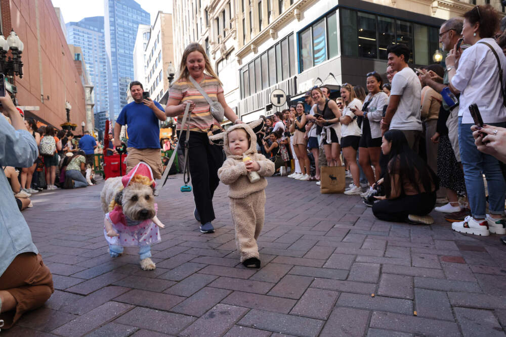5 things to do this weekend, including a Halloween dog parade and a STL ...