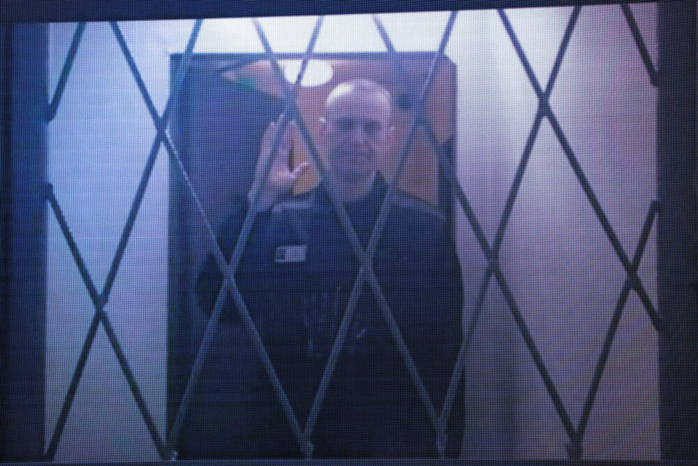 Alexei Navalny's diaries shed light on his time in prison, larger goals ...