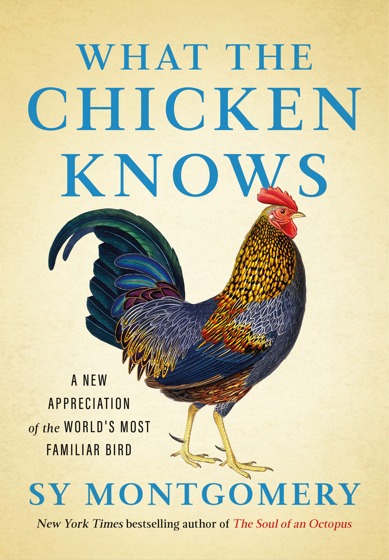 In 'What the Chicken Knows,' Sy Montgomery explores the extraordinary ...