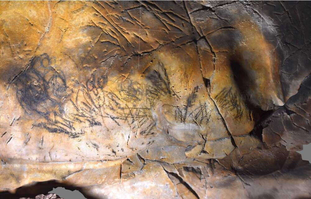 What children's cave art tells us about life 14,000 years ago | NCPR News