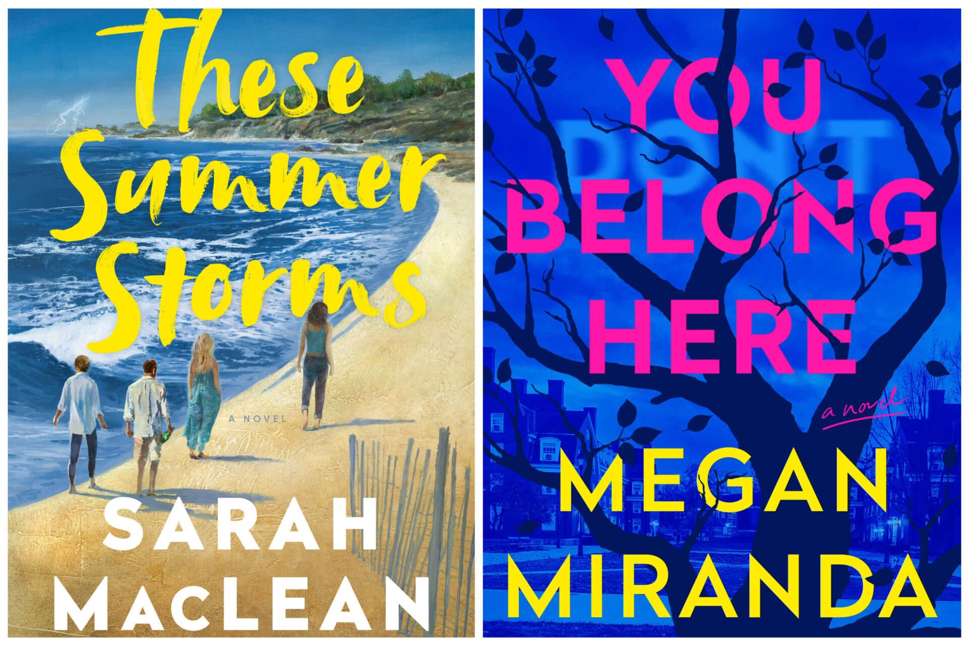 Two new novels offer page-turning summer escapes | WBUR News