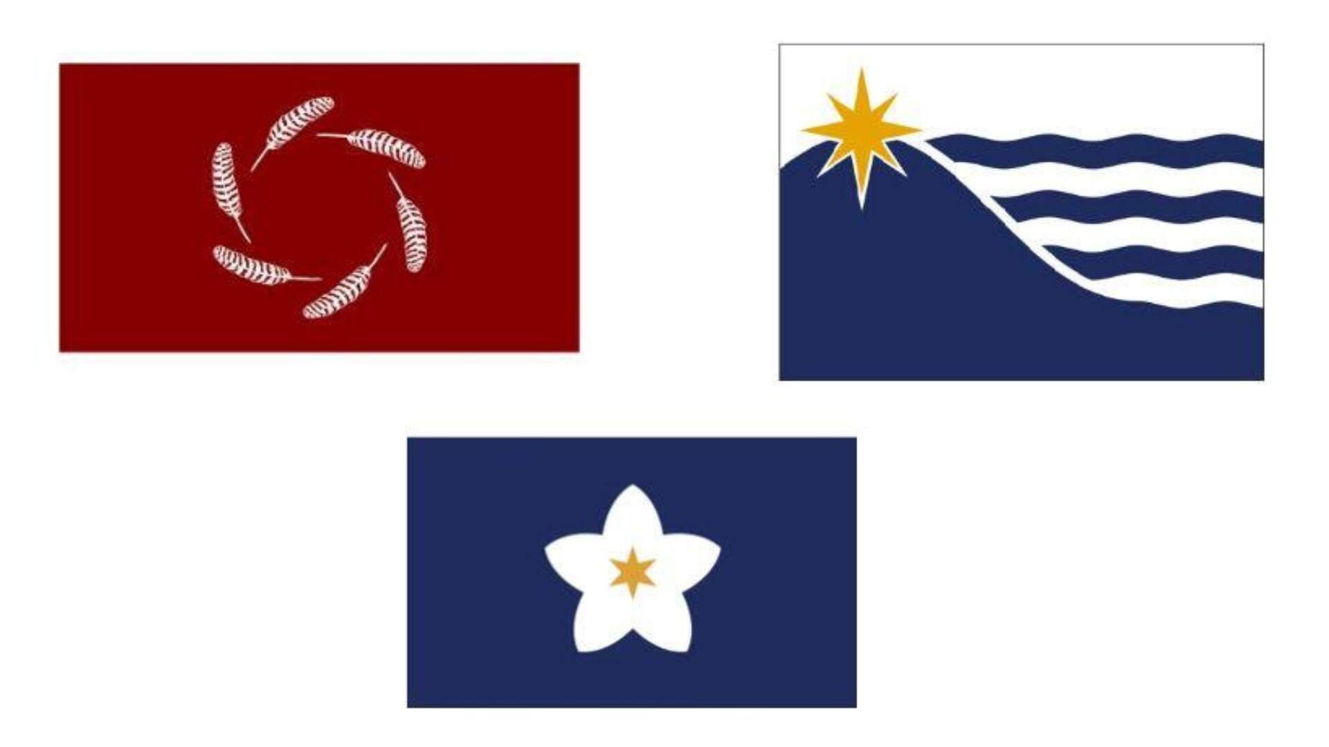 From turkey feathers to Blue Hills: The top picks for Mass.'s new flag ...