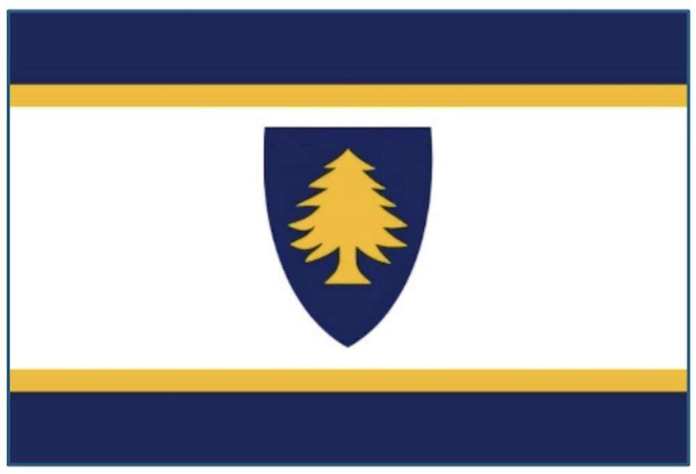 What are the best ideas for replacing Massachusetts' flag? We asked a ...