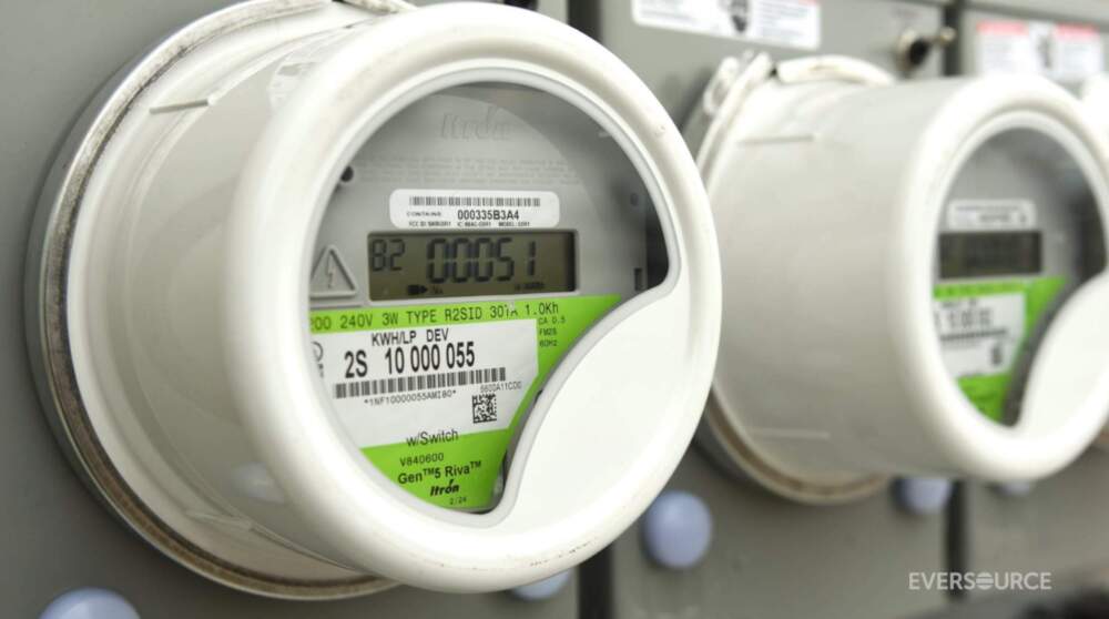 The smart choice: How smart meters empower families and businesses to take control of energy use ...