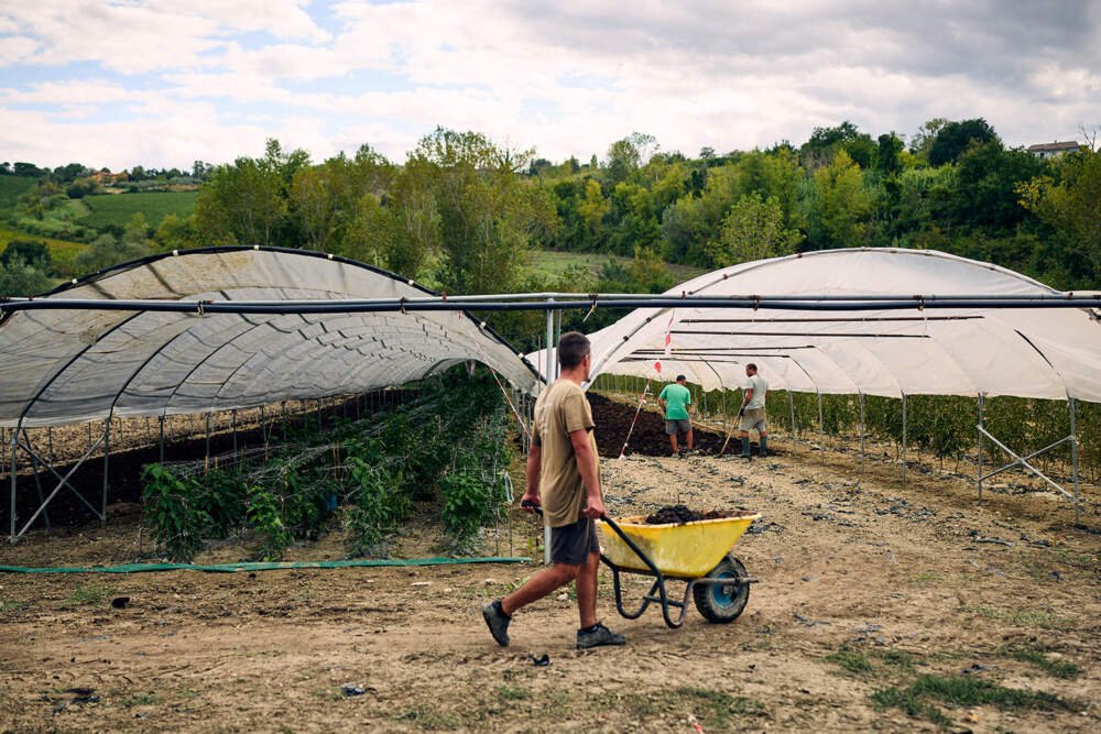 Inside San Patrignano's drug rehab model | NCPR News