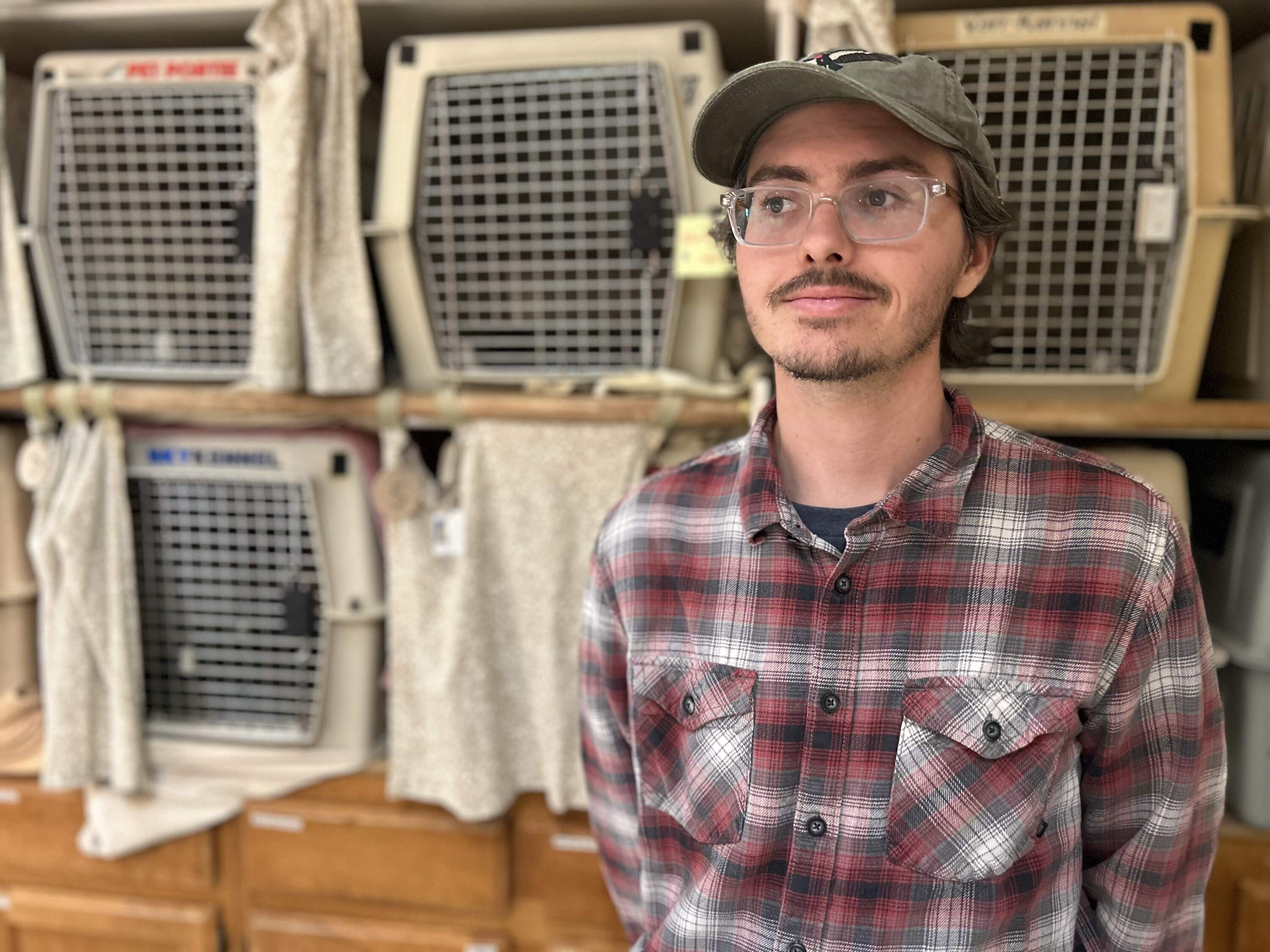 What happens when a hawk is electrocuted by a power line? | Here & Now