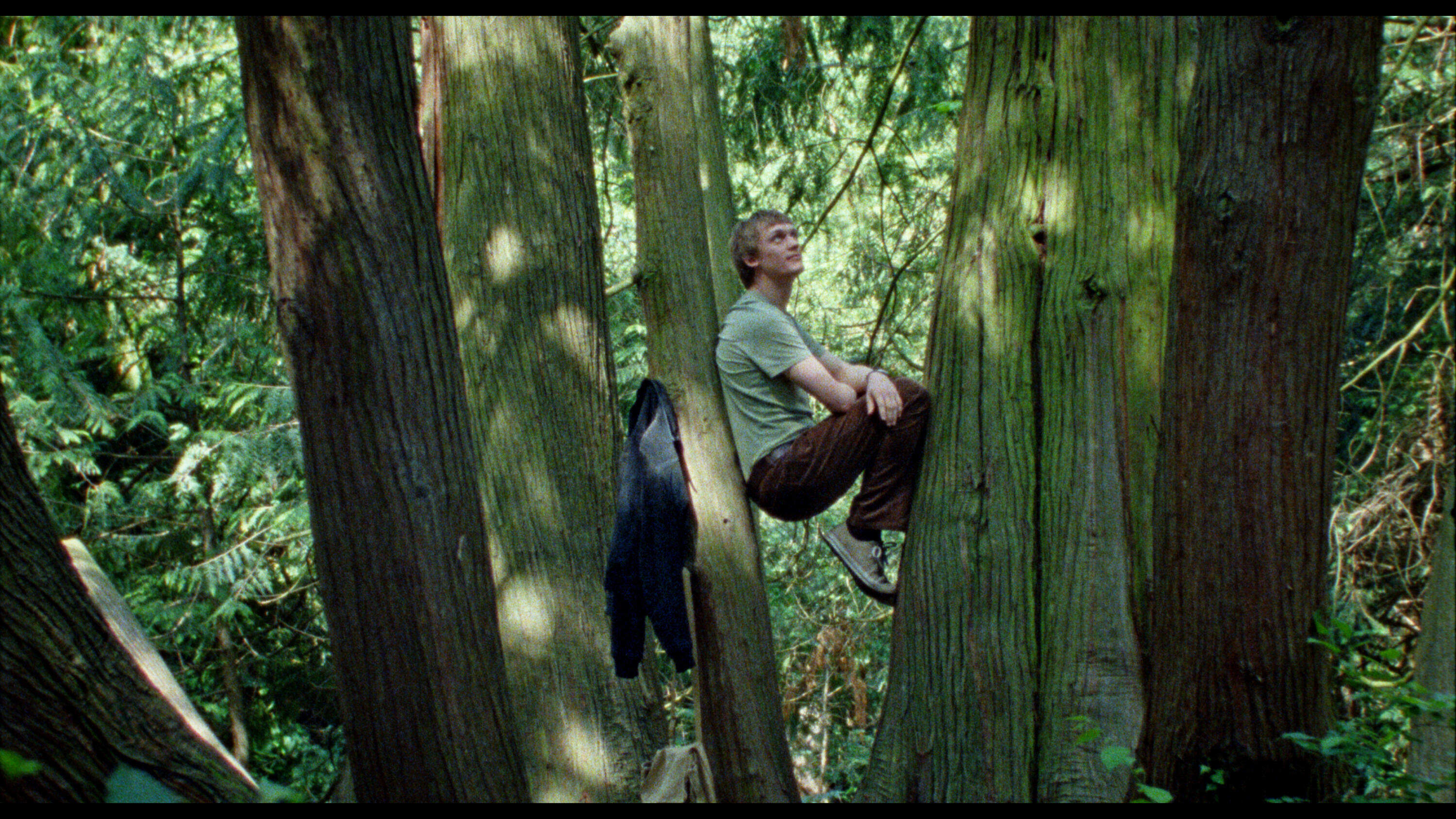 Buddy movie 'Silent Friend' is told from a tree's perspective | WBUR News