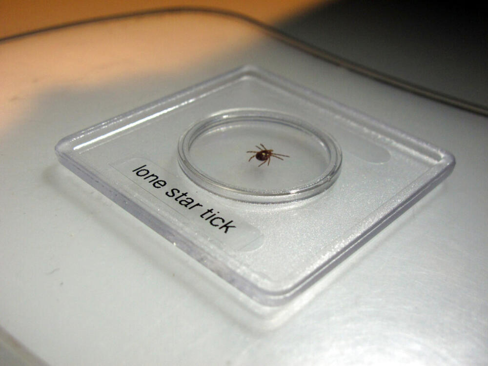 Mass. takes up new tracking for tick-borne alpha-gal syndrome, which ...